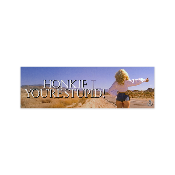 Honk If You're Stupid! Bumper Sticker - Sabrina Carpenter UK